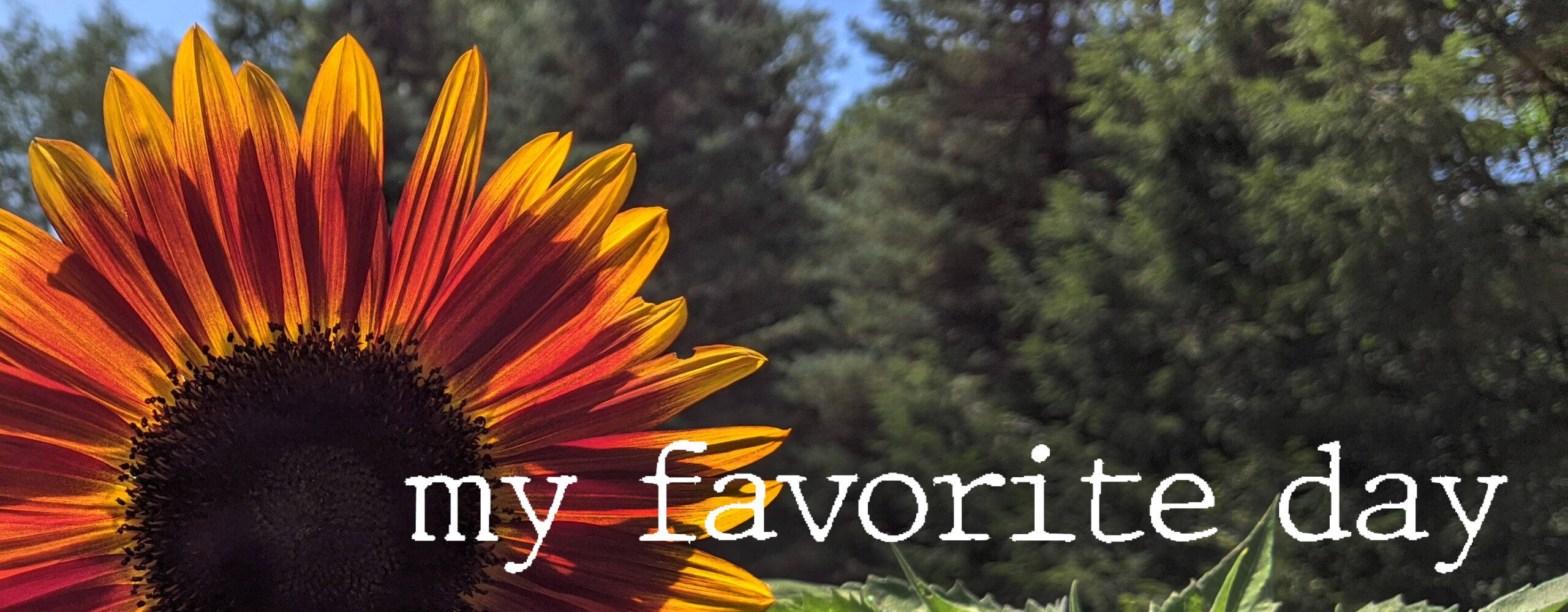My Favorite Day – Celebrate the special of every day